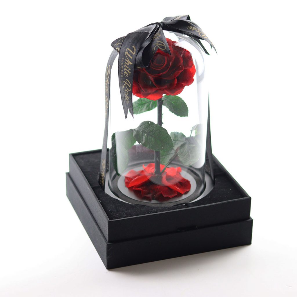 Single Forever Rose - White Rose Flowers